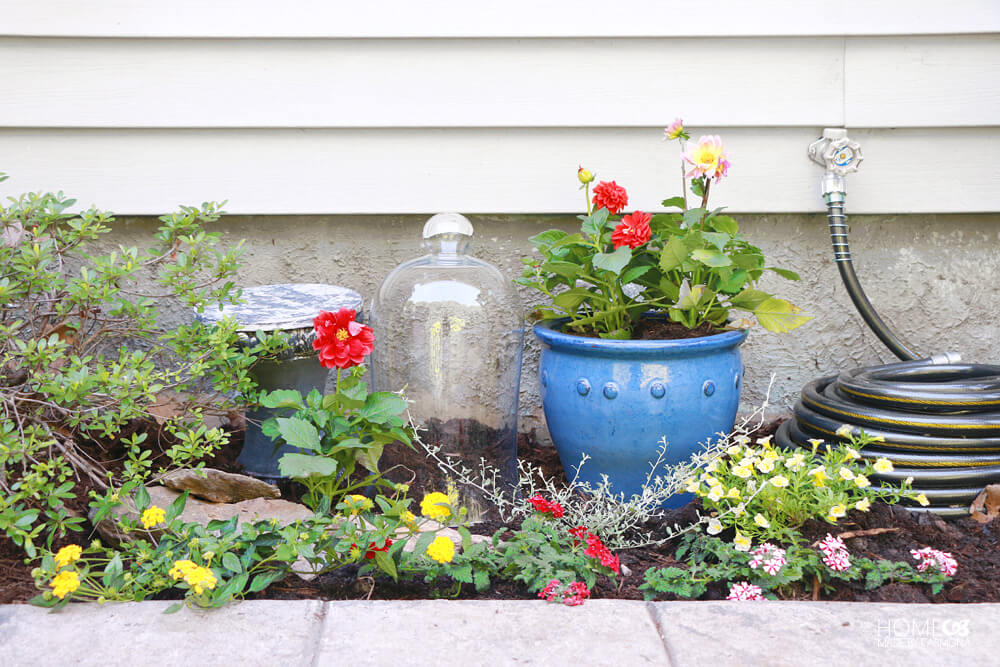 Plants For Around Utility Boxes